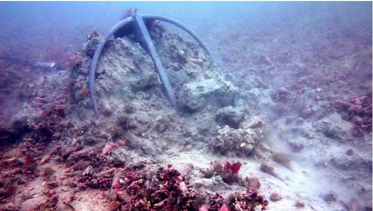 Article. Kiwis abysmal record of marine protection. 22 July 2018 ...