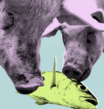 Article. Food security for indigenous communities. June 2019 – Rescue Fish