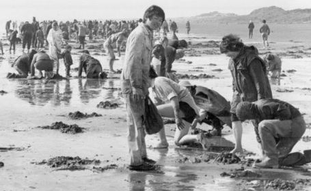 Article. Research into toheroa depletion. March 2019 – Rescue Fish